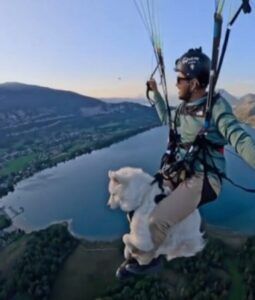 TikToker se lanza de paracaídas con su perro; lo critican