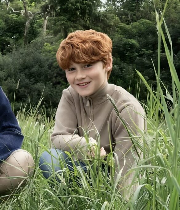 Quiénes son los nuevos Harry Potter, Ron Weasley y Hermione